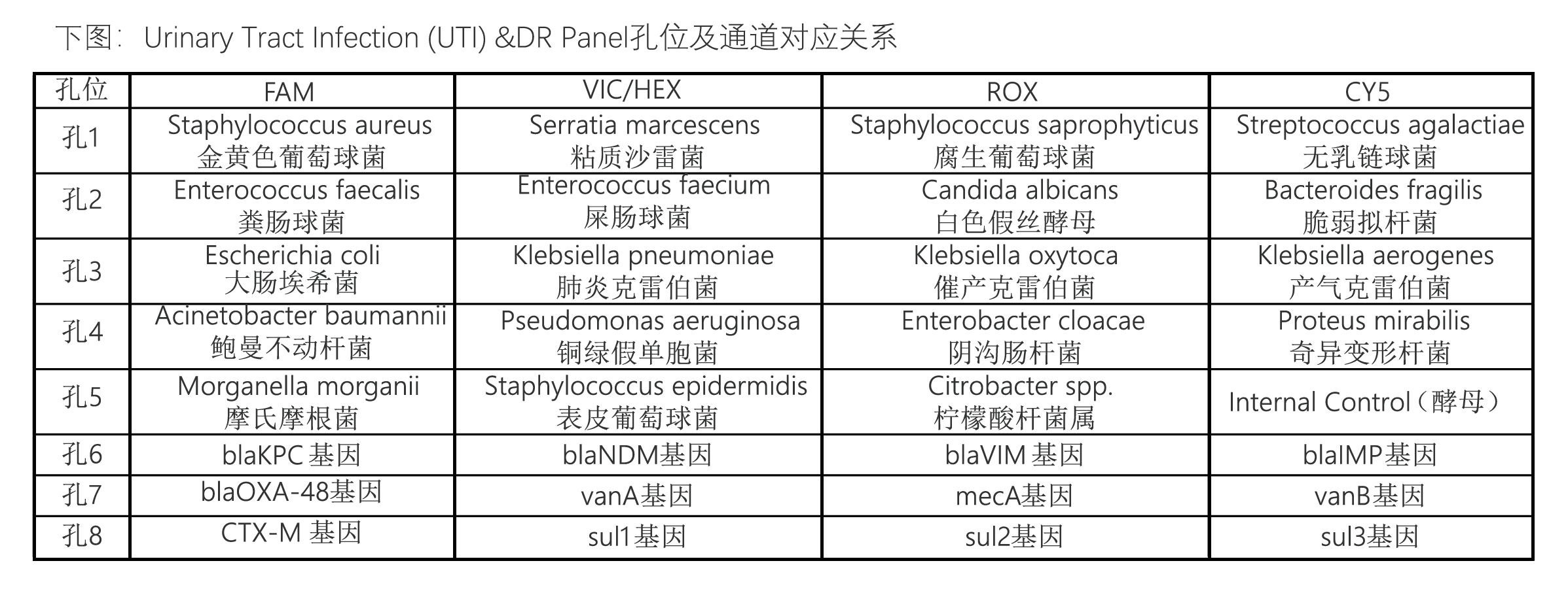 尿路感染（UTI）&耐药基因检测快速精准解决方案 - 无锡百泰克生物技术有限公司